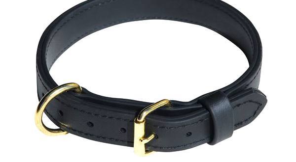 Best Dog Training Collars | Working Dog Collars | Tactical Dog Harnesses