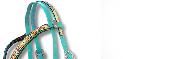 Dog Collars & Horse Tacks | Leather Alternative | Biothane Coated Webbing