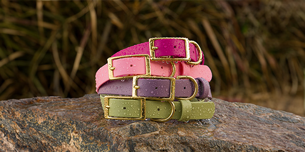 Vivid Canine | Biothane Coated Webbing